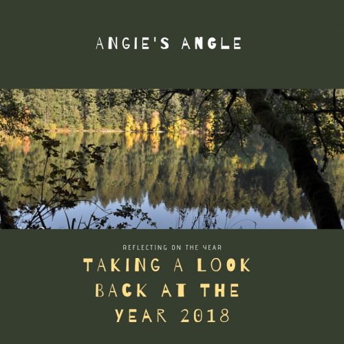 Taking a Look Back at the Year 2018